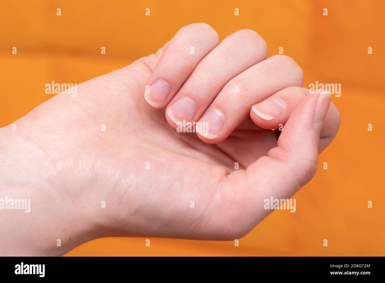close-up female hand showing long raw nails on an orange background ...