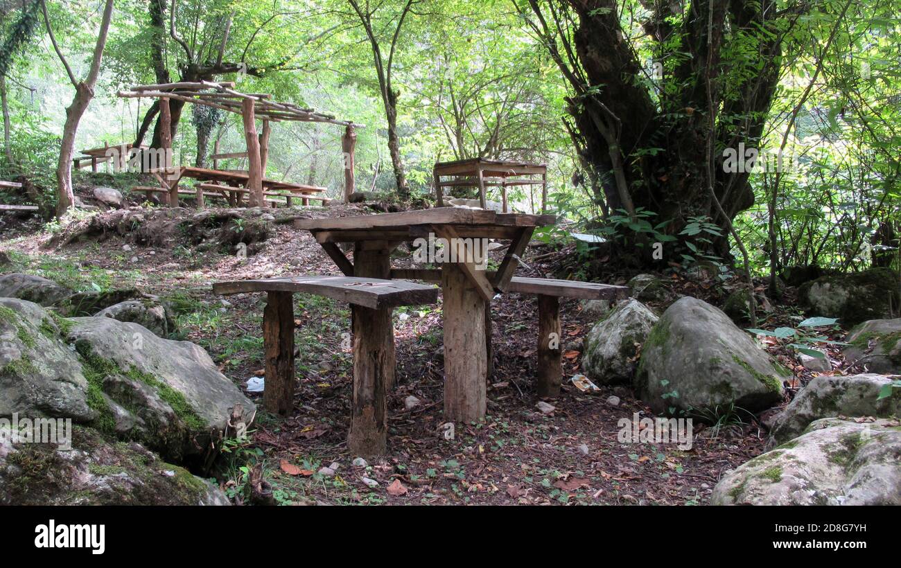 Wooden tables and chairs in a natural forest camp site Stock Photo - Alamy