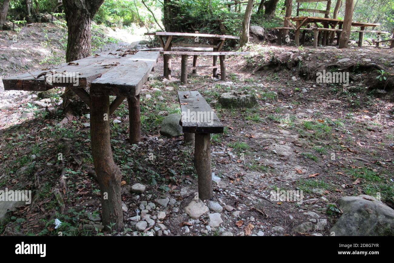 Wooden tables and chairs in a natural forest camp site Stock Photo - Alamy