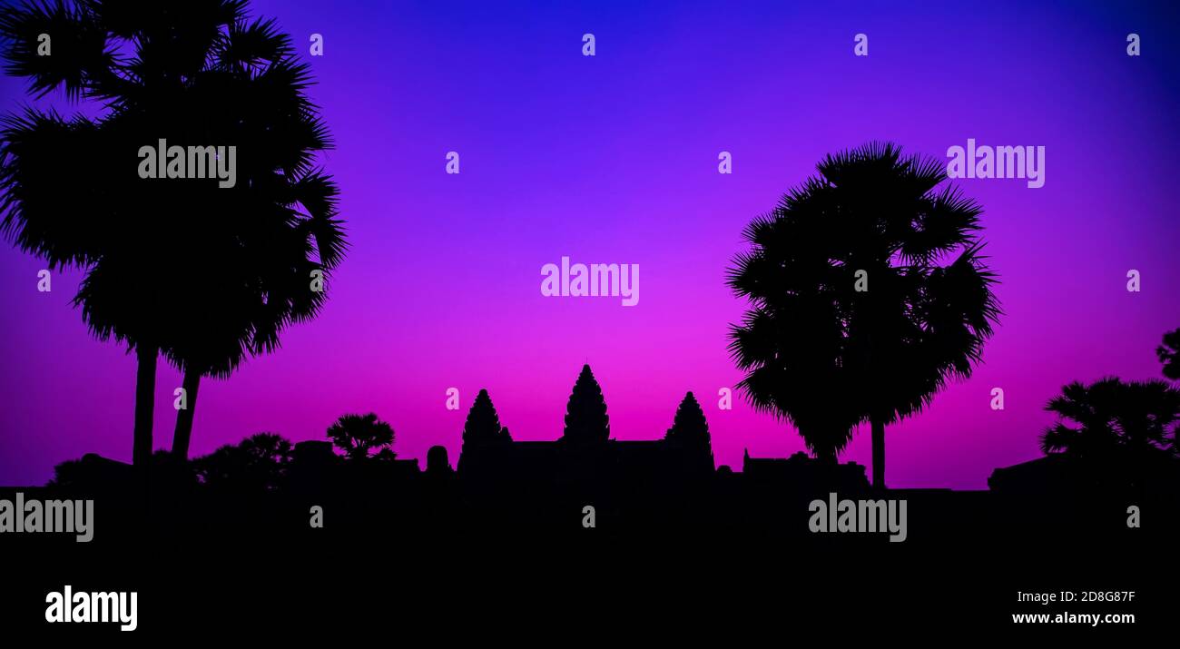 Panorama Palm trees Mist sunrise tropical morning violet tourist ...
