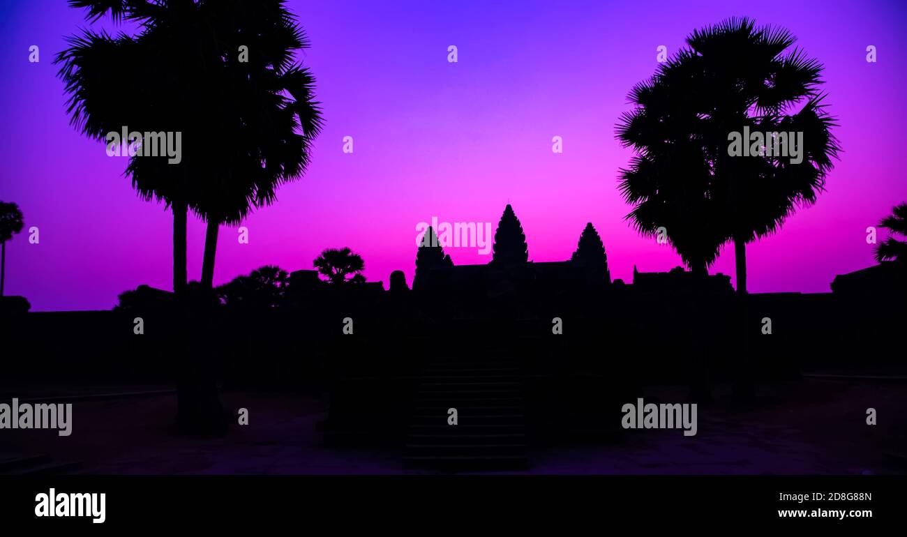 Panorama Palm trees sunrise tropical morning violet tourist attraction ...