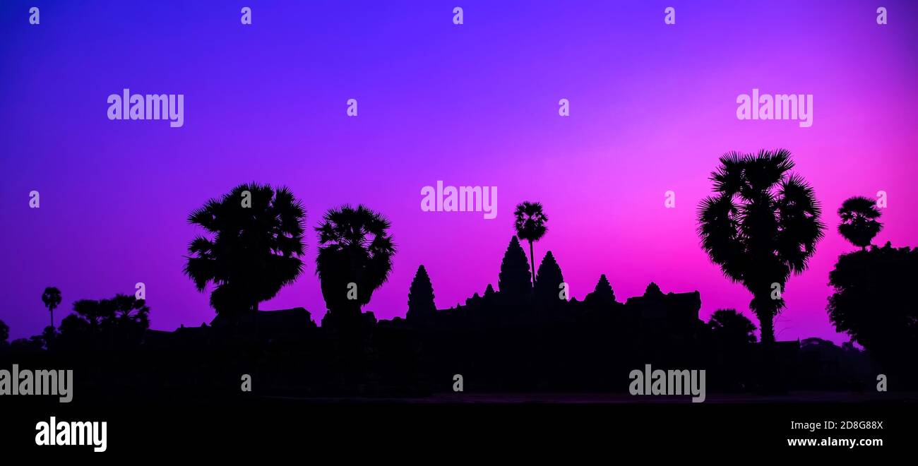 Panorama Palm trees Mist sunrise tropical morning violet tourist ...