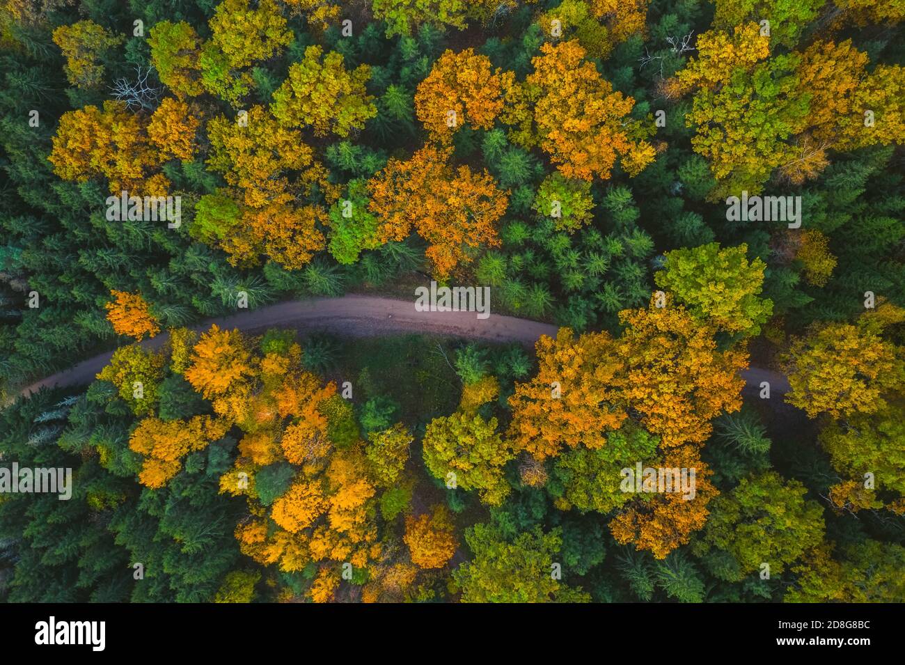 Aerial view of the bend road passing the forest Stock Photo - Alamy