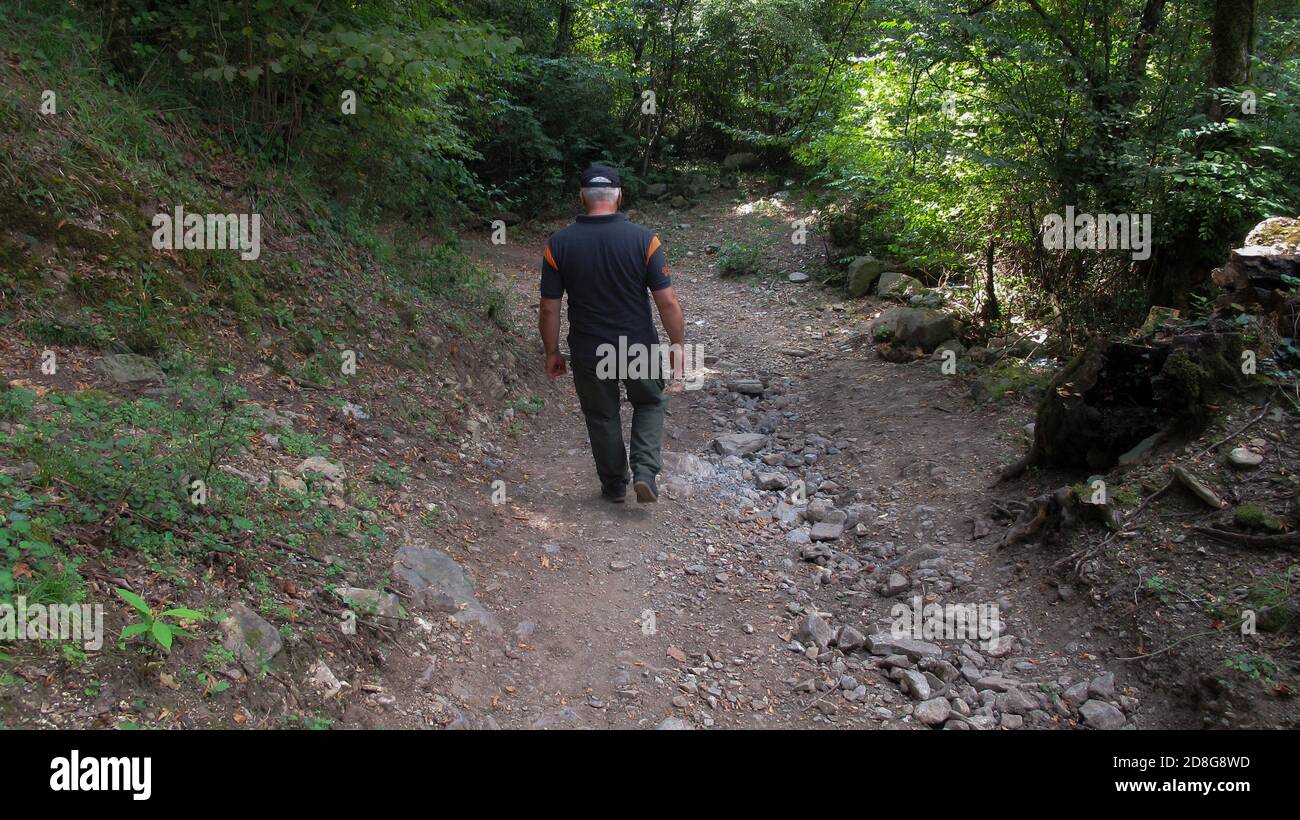 Single middle aged man walking alone in a wild forest Stock Photo - Alamy