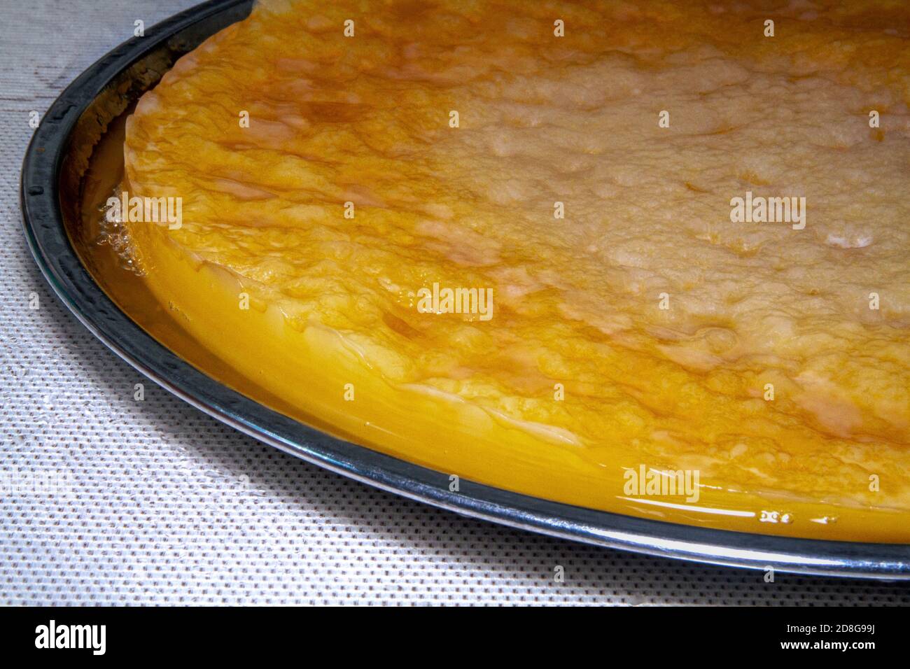 Close-up big fresh scoby (symbiotic culture of bacteria and yeast ...