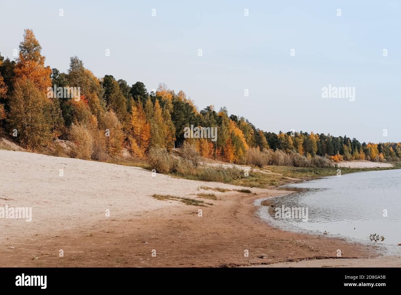 beautiful autumn season riverside. yellow and orange forest trees and ...