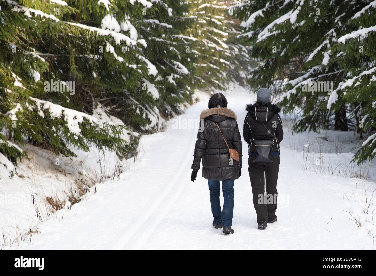 Woman walking through snow covered trail hi-res stock photography and ...