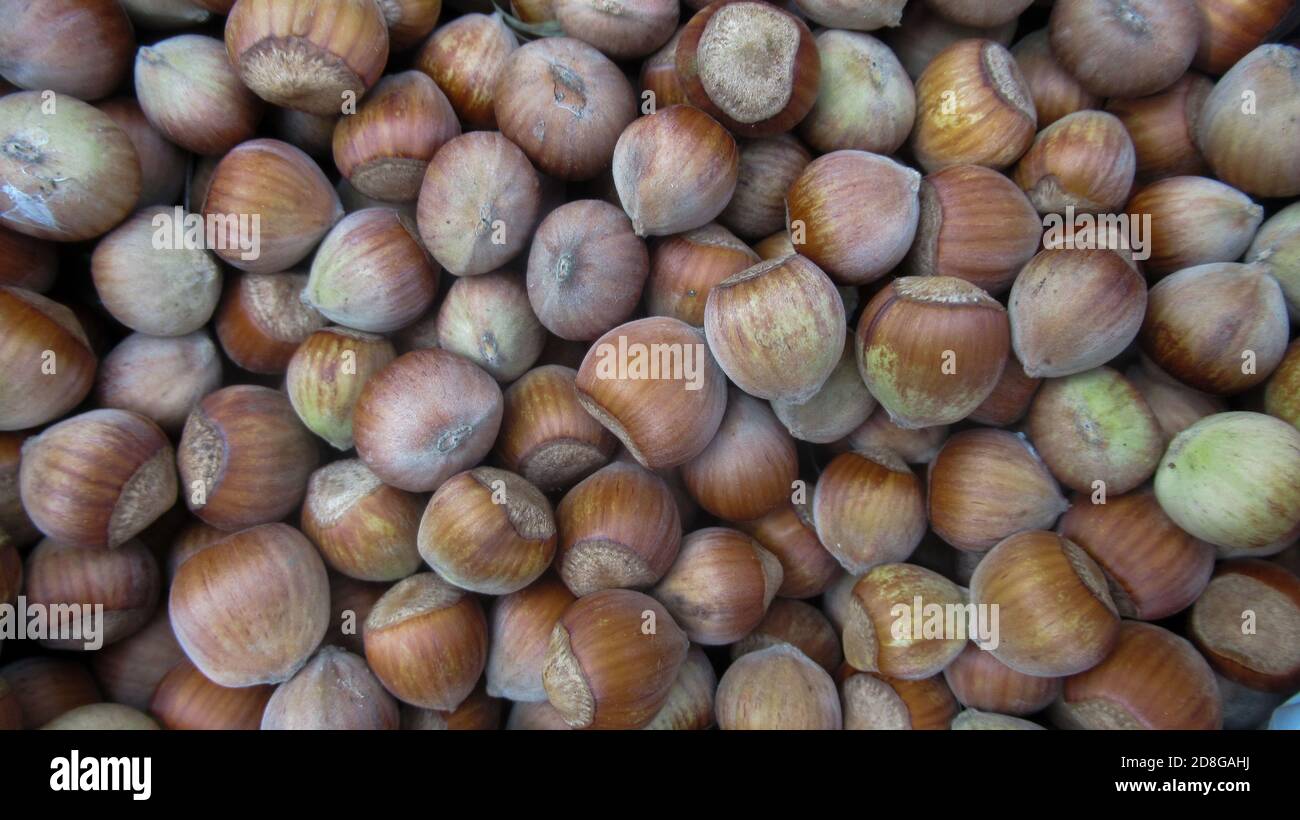 Close up of a hazelnuts. Food background, photo wallpaper Stock Photo ...
