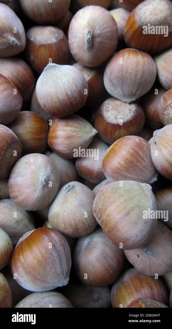 Close up of a hazelnuts. Food background, photo wallpaper Stock Photo ...