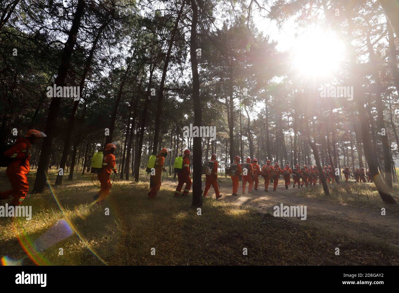 Tangshan, China's Hebei Province. 30th Oct, 2020. Fire fighters ...