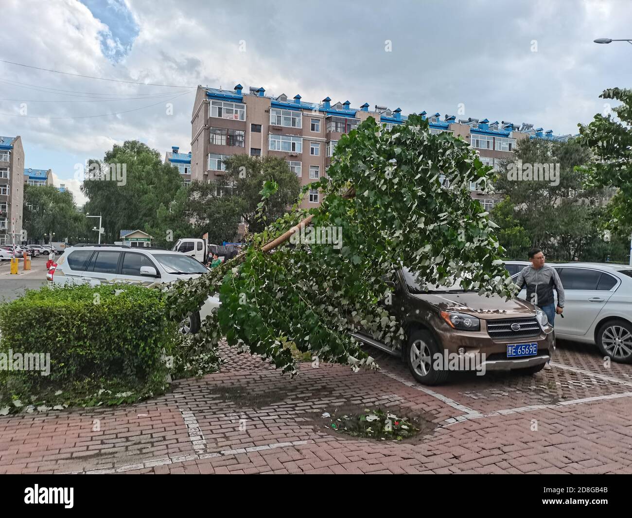 City of daqing hi-res stock photography and images - Alamy
