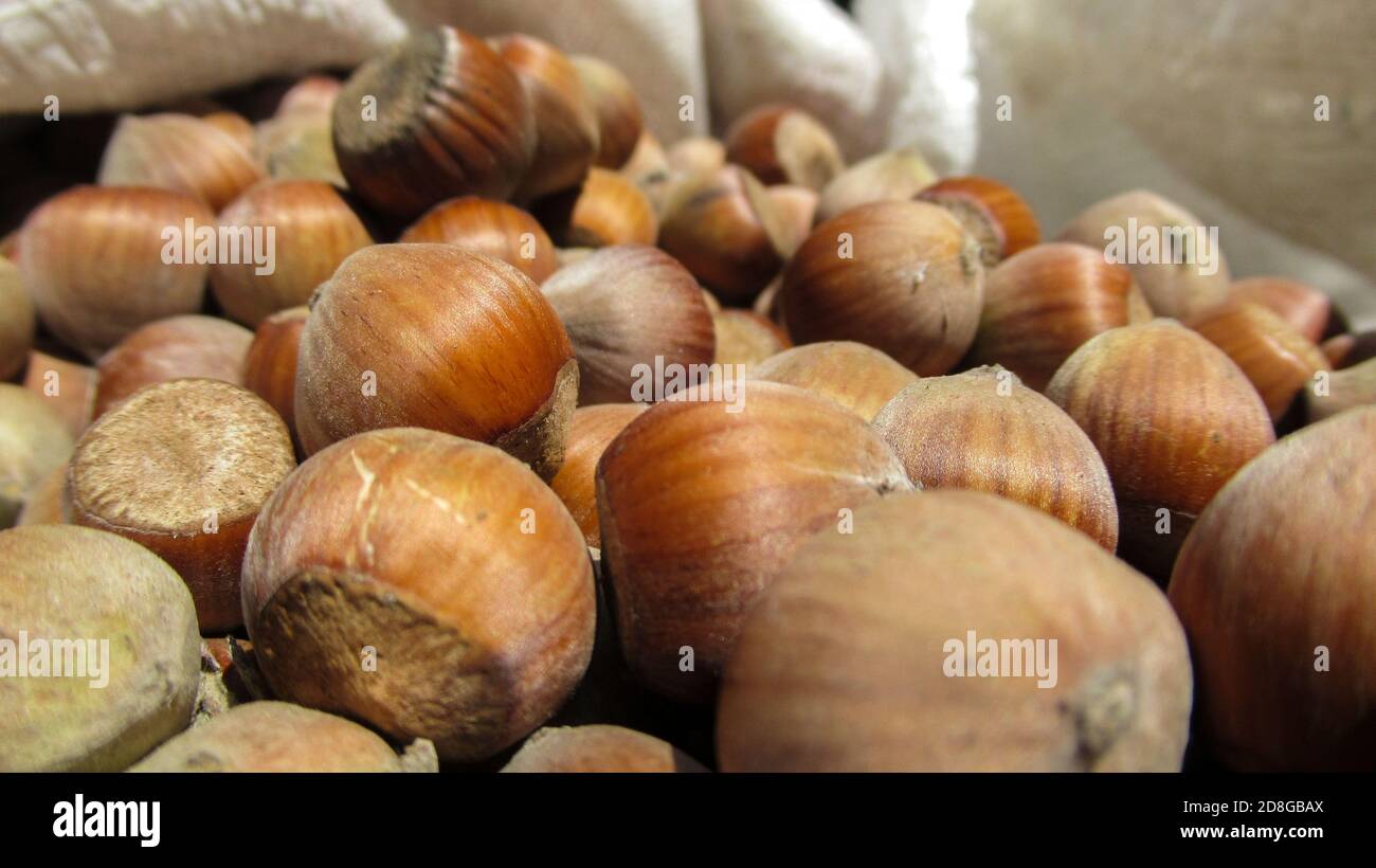 Hazelnuts wallpaper hi-res stock photography and images - Alamy
