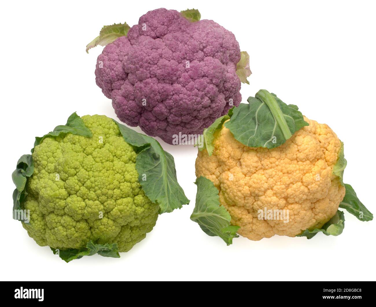 colored cauliflower path isolated on white top view Stock Photo - Alamy