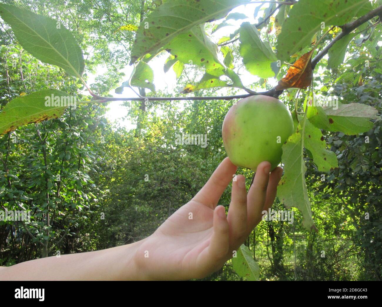 Close up child hi-res stock photography and images - Alamy