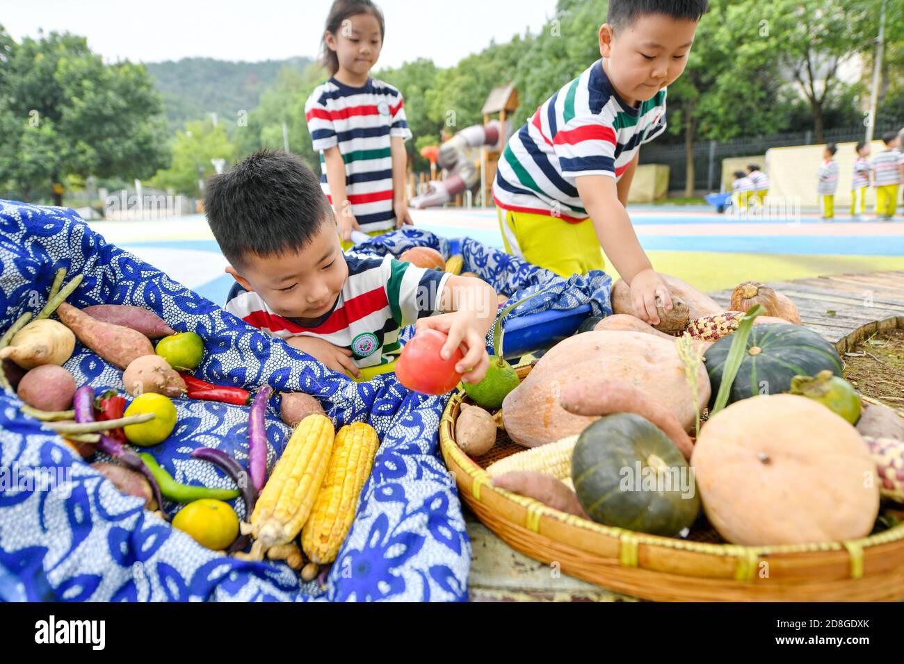 Kids play harvest competition by using a push cart filled with farm ...
