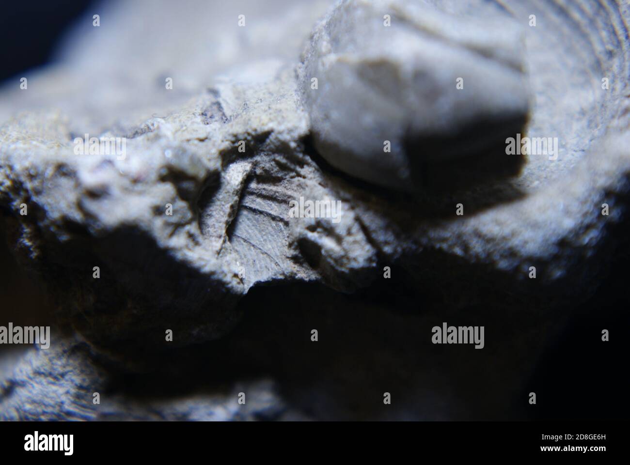 Mineral specimens hi-res stock photography and images - Alamy