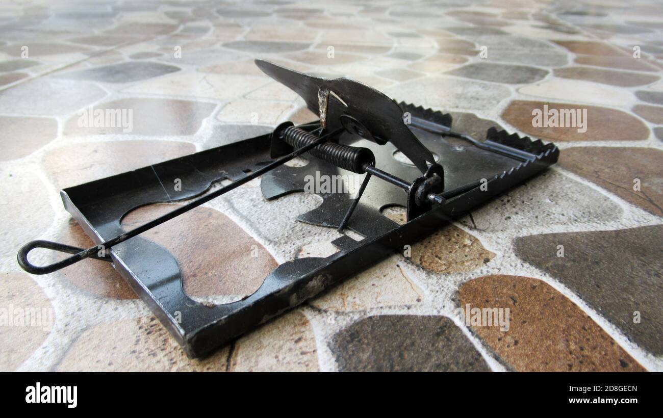 Metal mouse hi-res stock photography and images - Alamy