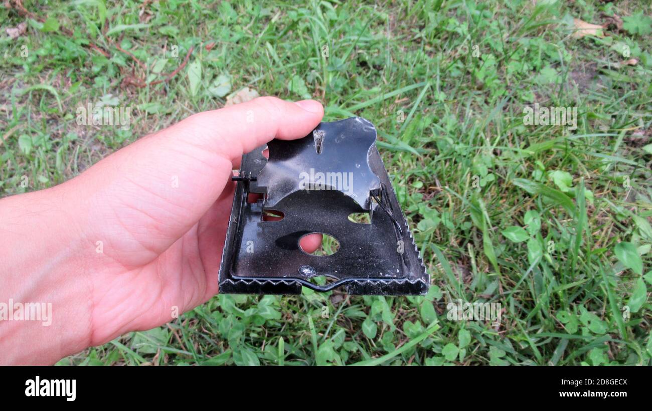 Close up male hand holding a black metal mouse trap Stock Photo - Alamy