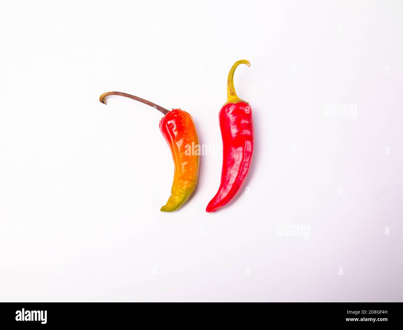 Two Chilly peppers isolated on white Stock Photo - Alamy