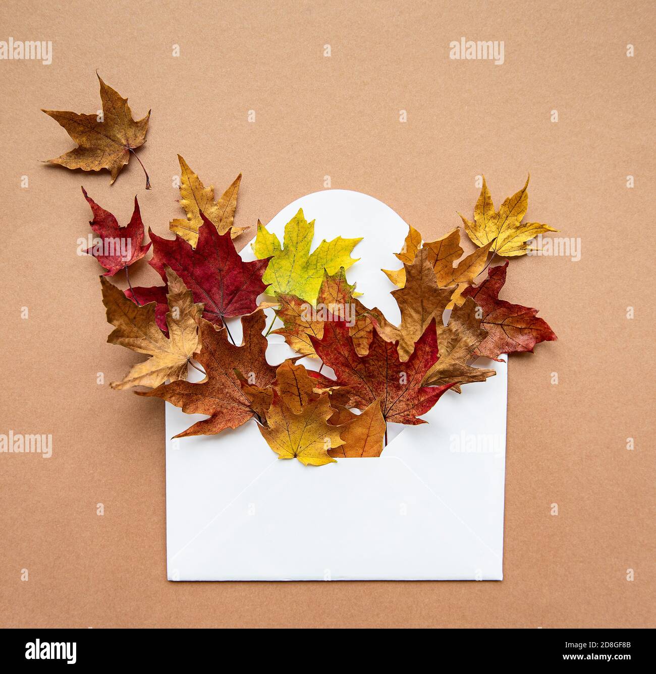 Autumn composition. Envelope with dried leaves on pastel brown ...