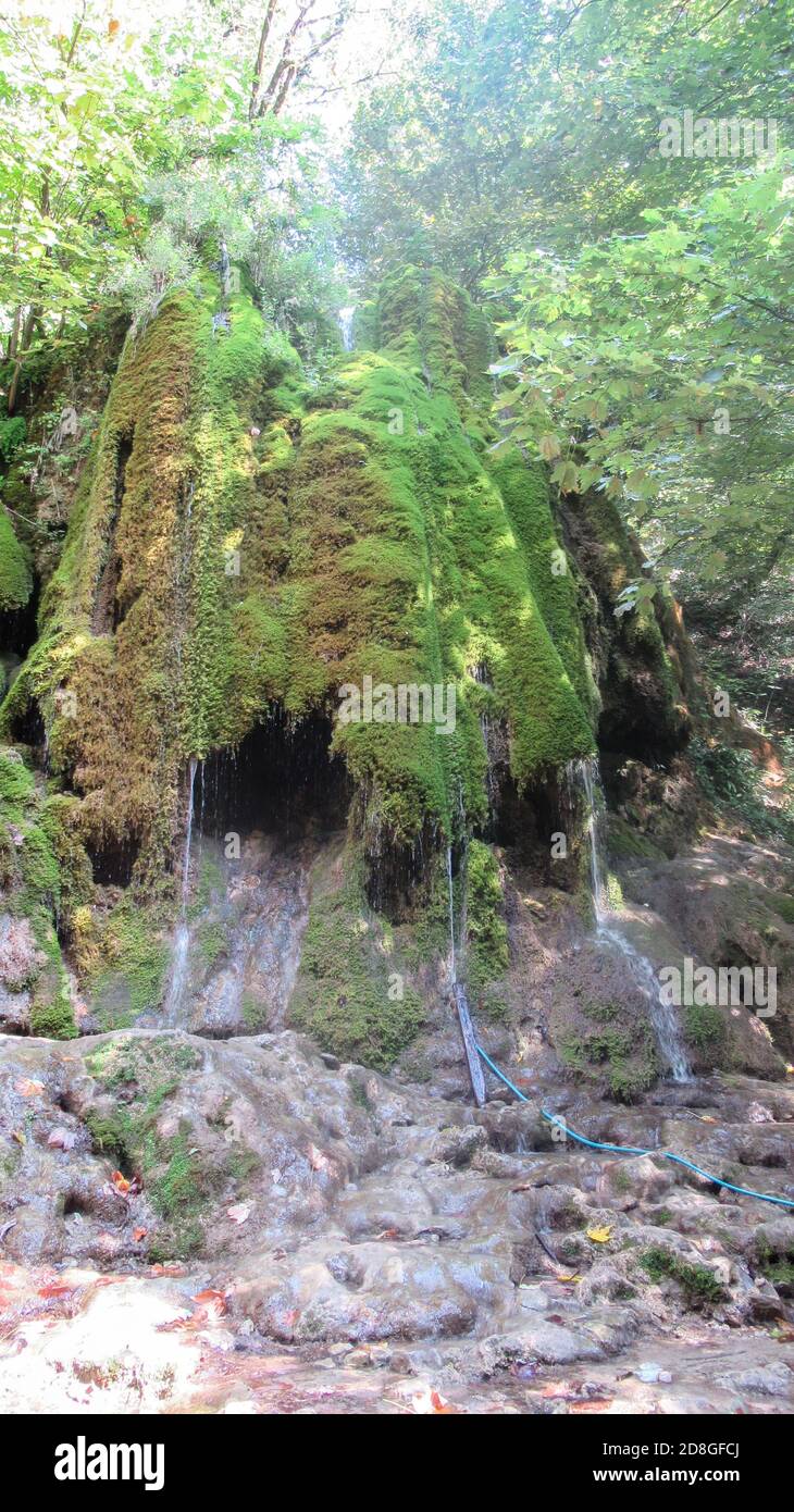 Beautiful waterfall in the forest covered with green moss. Caucasian ...