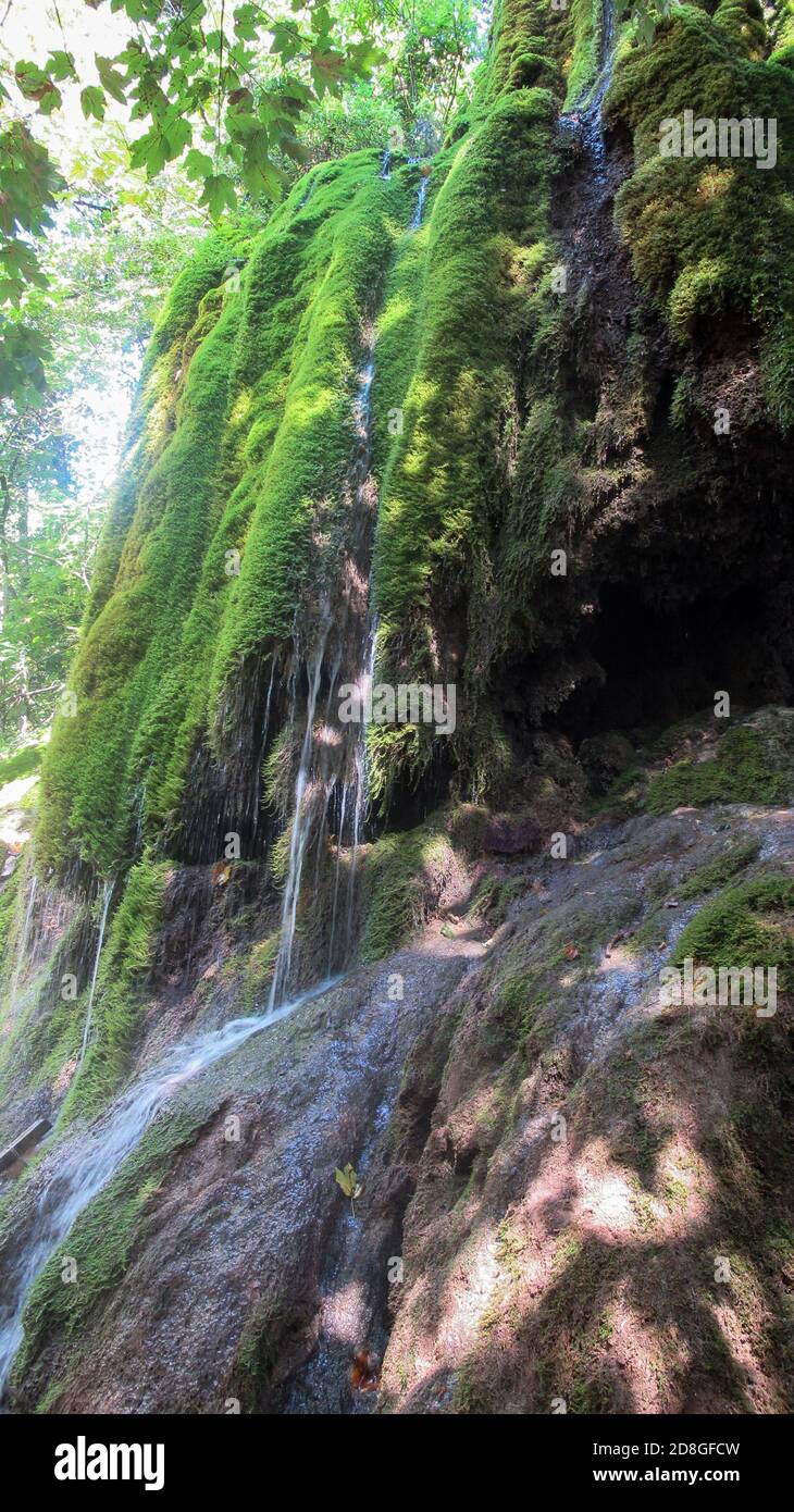 Beautiful waterfall in the forest covered with green moss. Caucasian ...