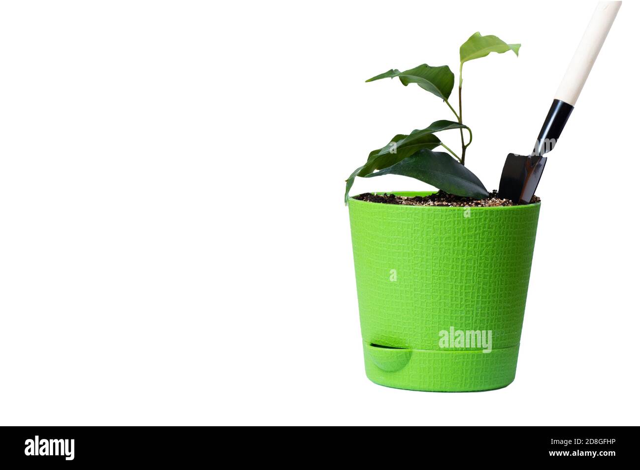 Water in a pot Cut Out Stock Images & Pictures - Alamy