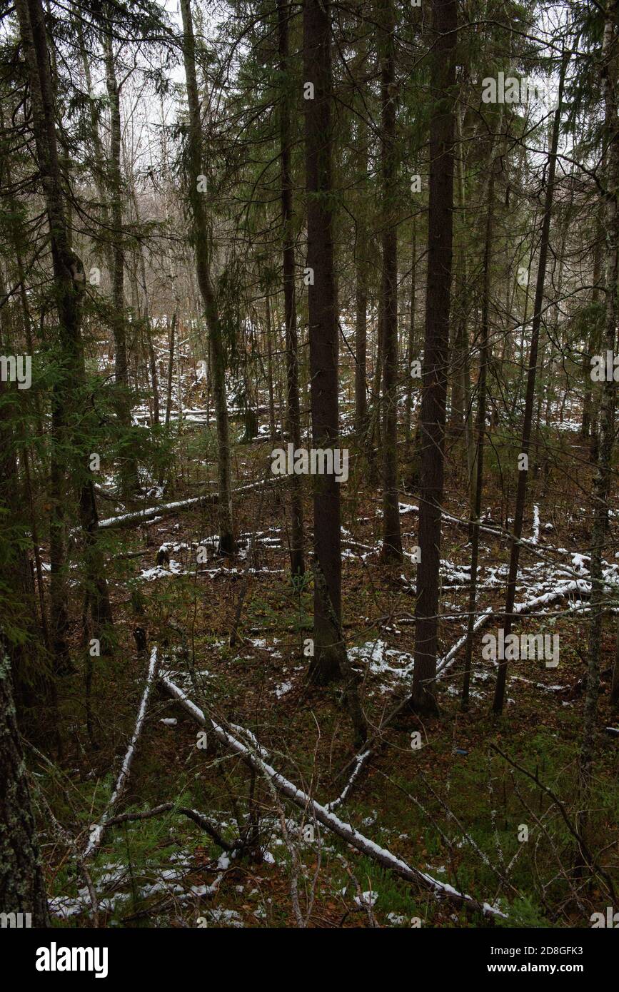 Backwoods hi-res stock photography and images - Alamy