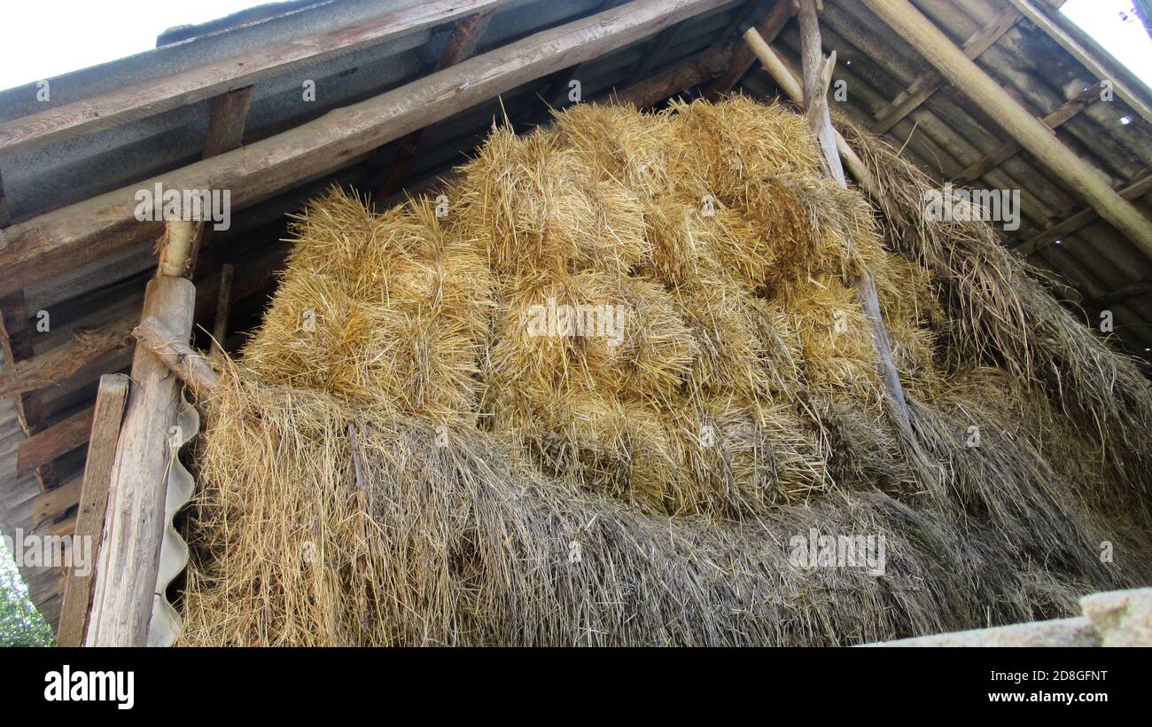 Old wooden barn with haystacks in the rural village Stock Photo - Alamy