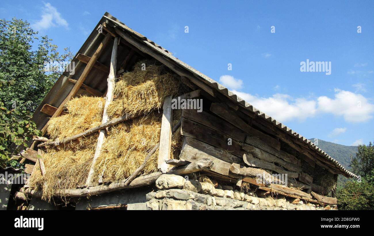 Old wooden barn with haystacks in the rural village Stock Photo - Alamy