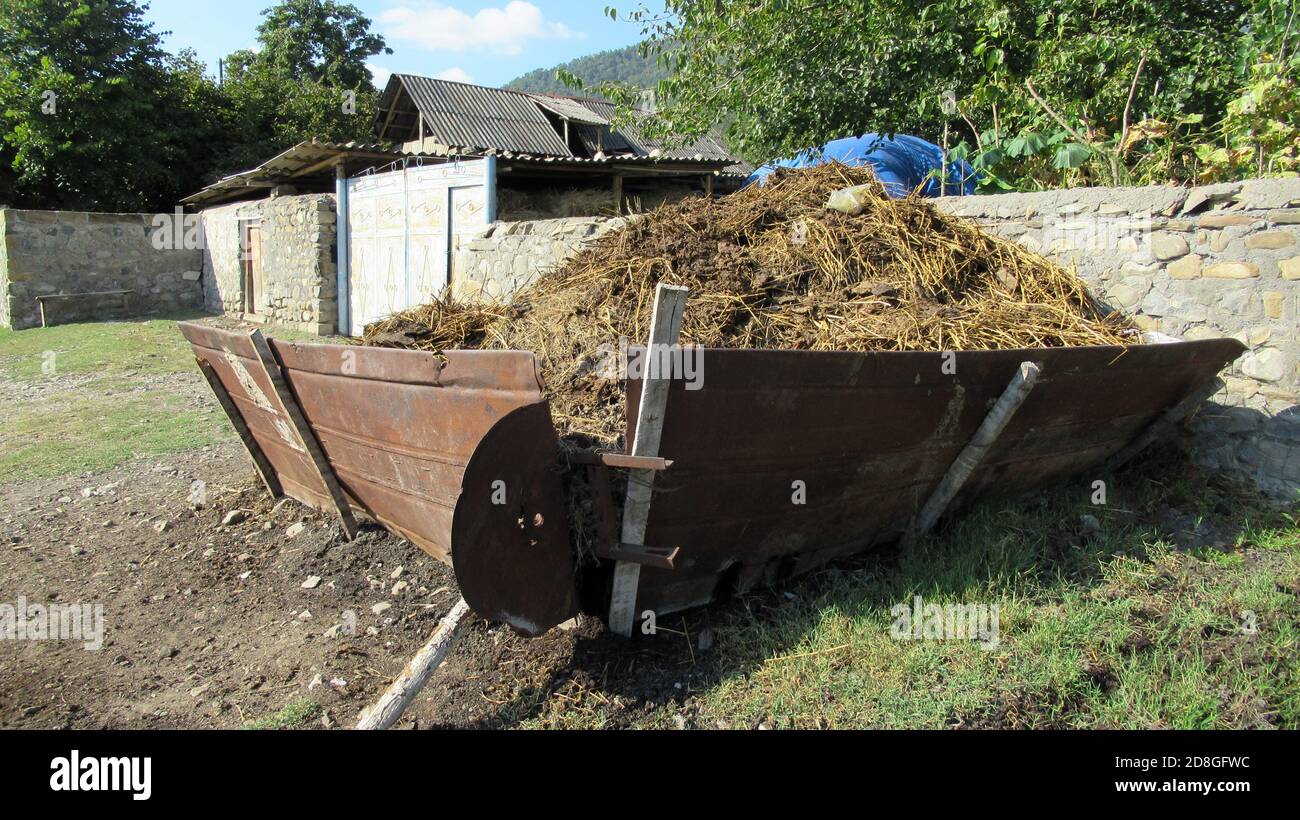 Animal manure collected to use in a farming Stock Photo - Alamy