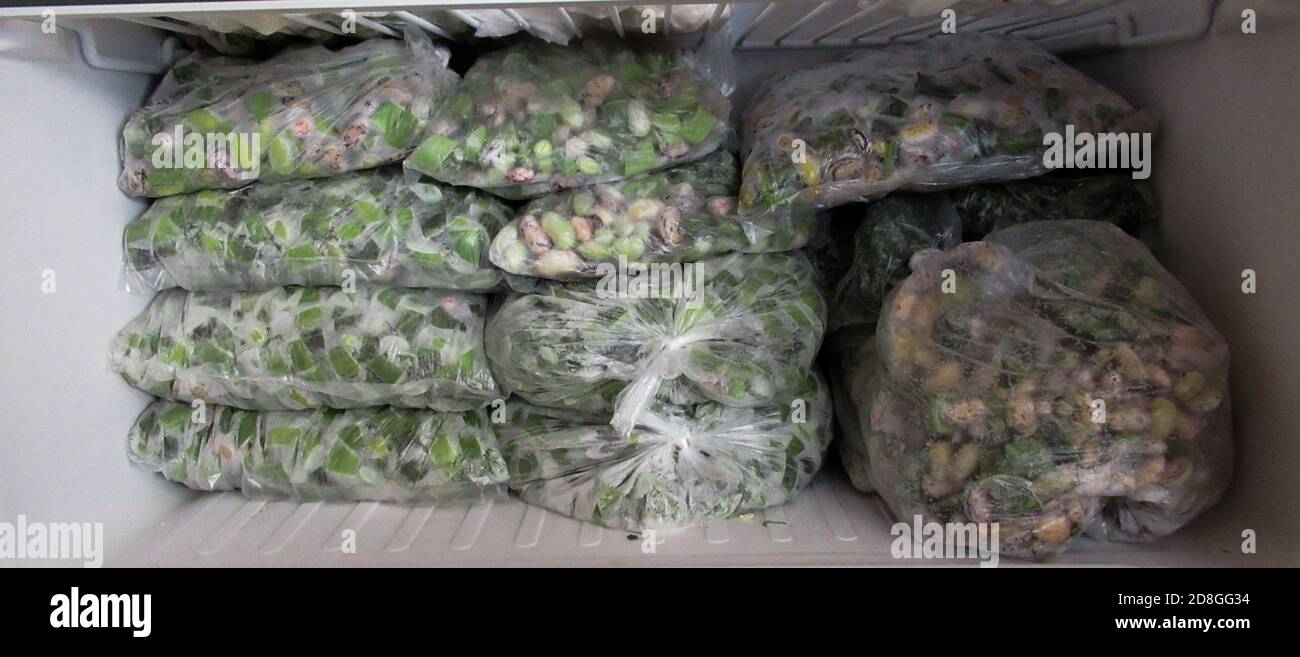 Frozen green bean packages placed together in a freezer, refrigerator ...