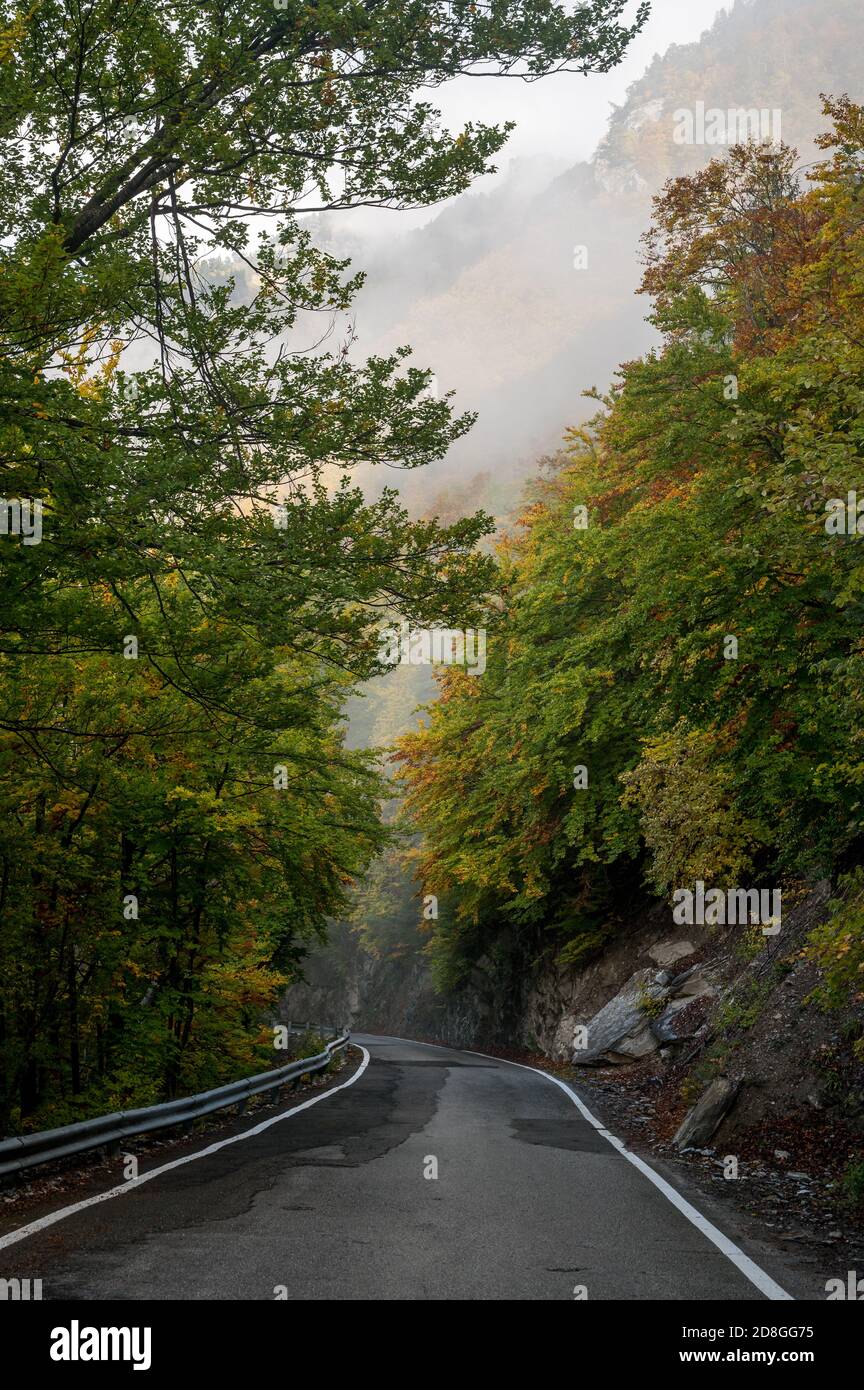 Misty road through hi-res stock photography and images - Alamy