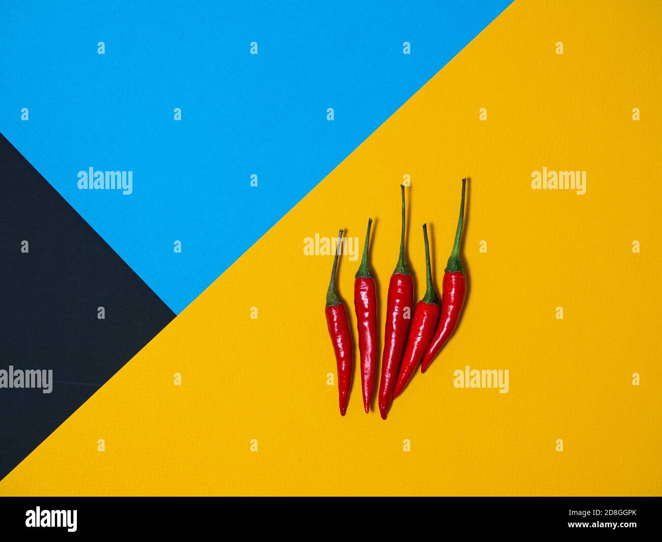 Chilli pepper on the black background. empty space for your text. blank ...