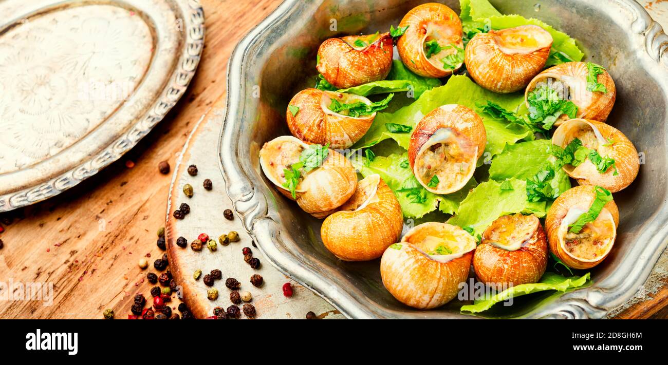 Snail or escargots with garlic butter and lime.Baked snails Stock Photo ...