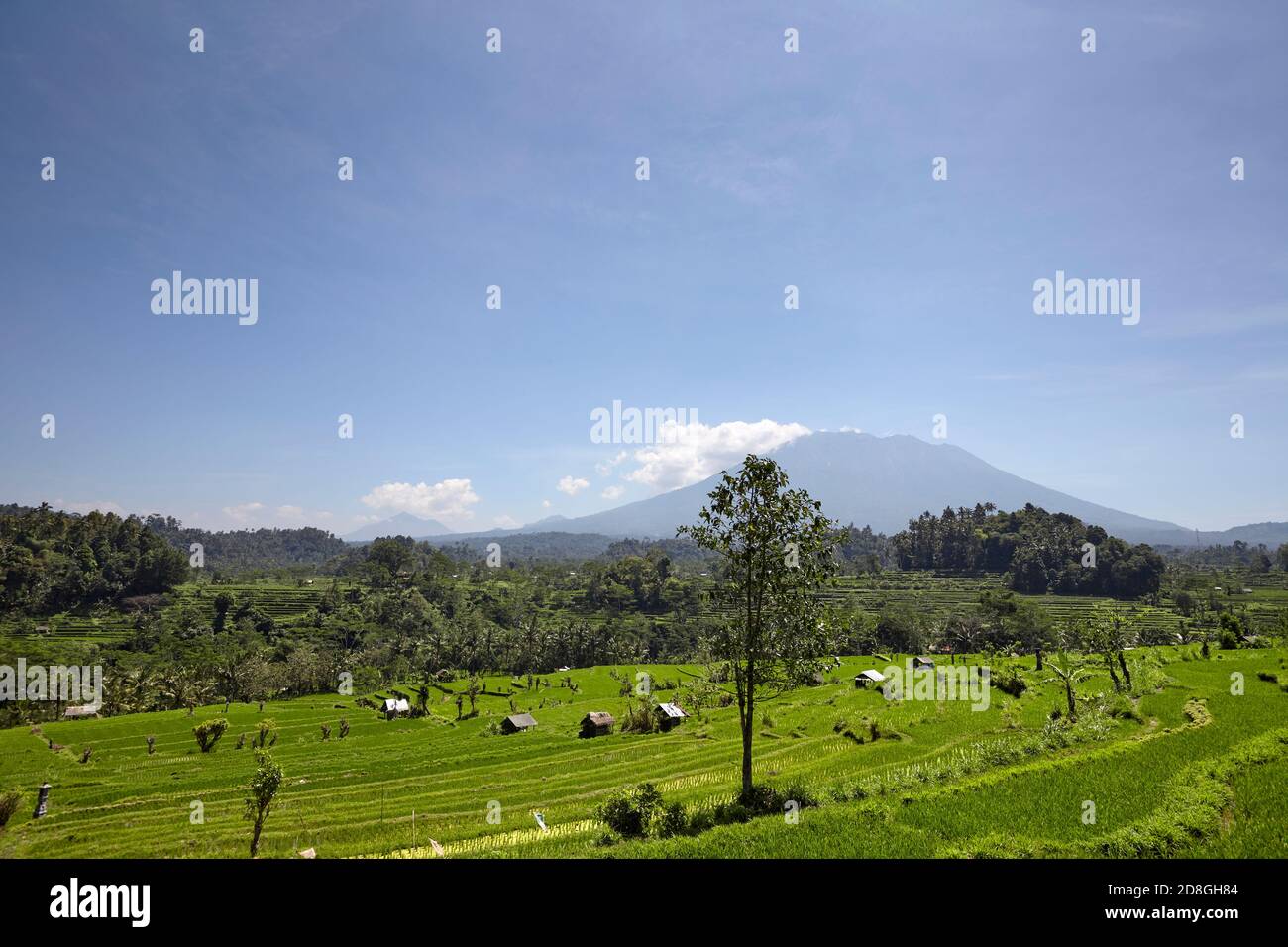 Beautiful landscape with green rice terraces, Bali, Indonesia. Unesco ...