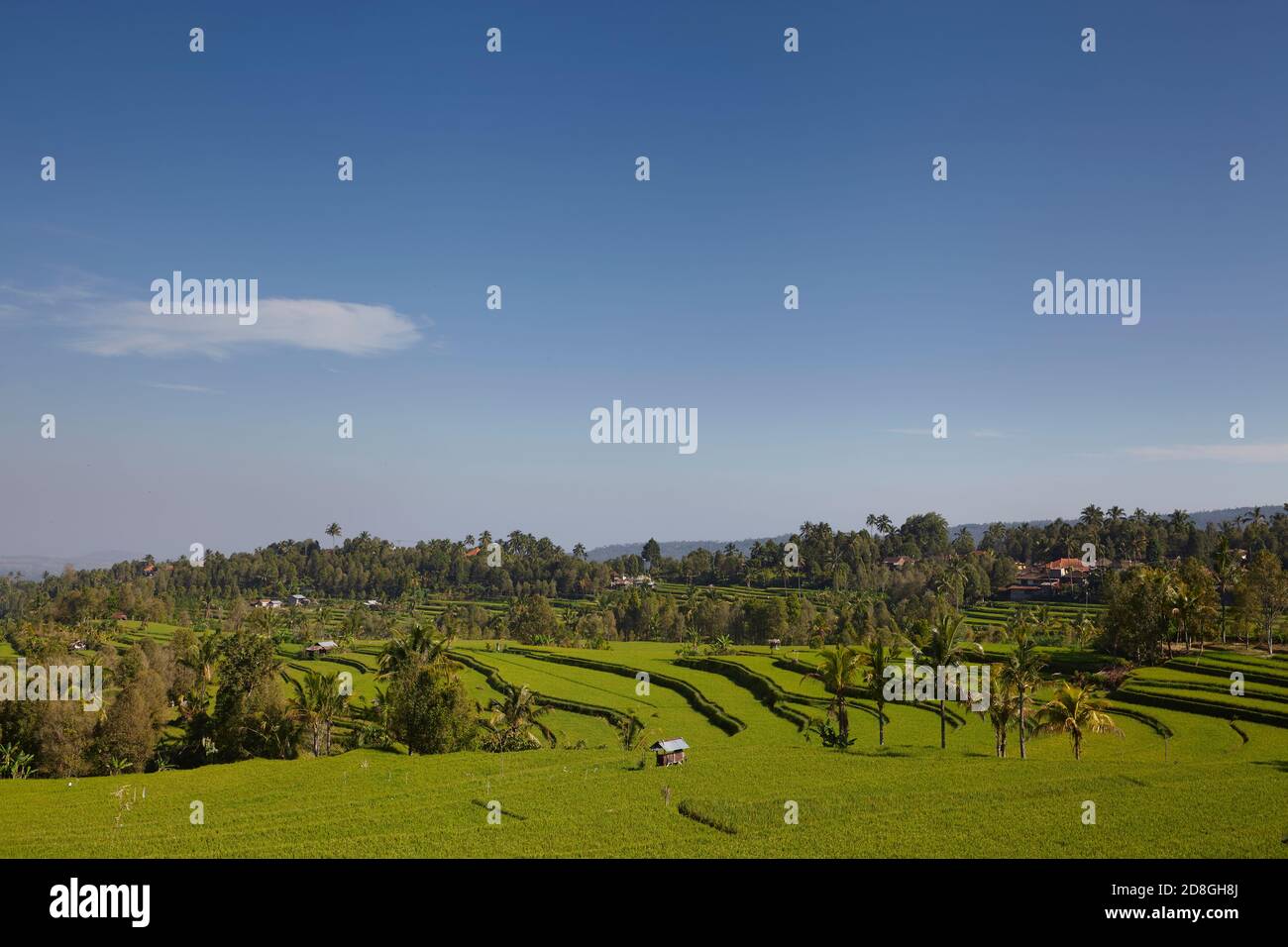 Beautiful landscape with green rice terraces, Bali, Indonesia. Unesco ...