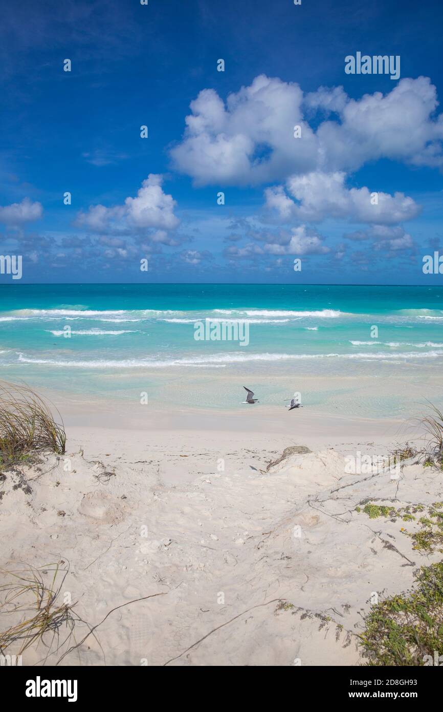 Cuba, Villa Clara Province, Jardines del Rey archipelago, Cayo Santa ...