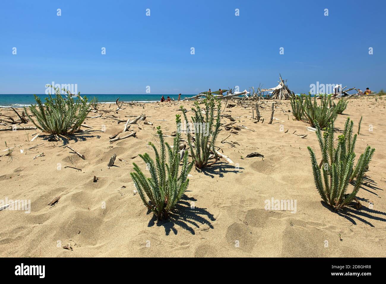 Alberese beach hi-res stock photography and images - Alamy