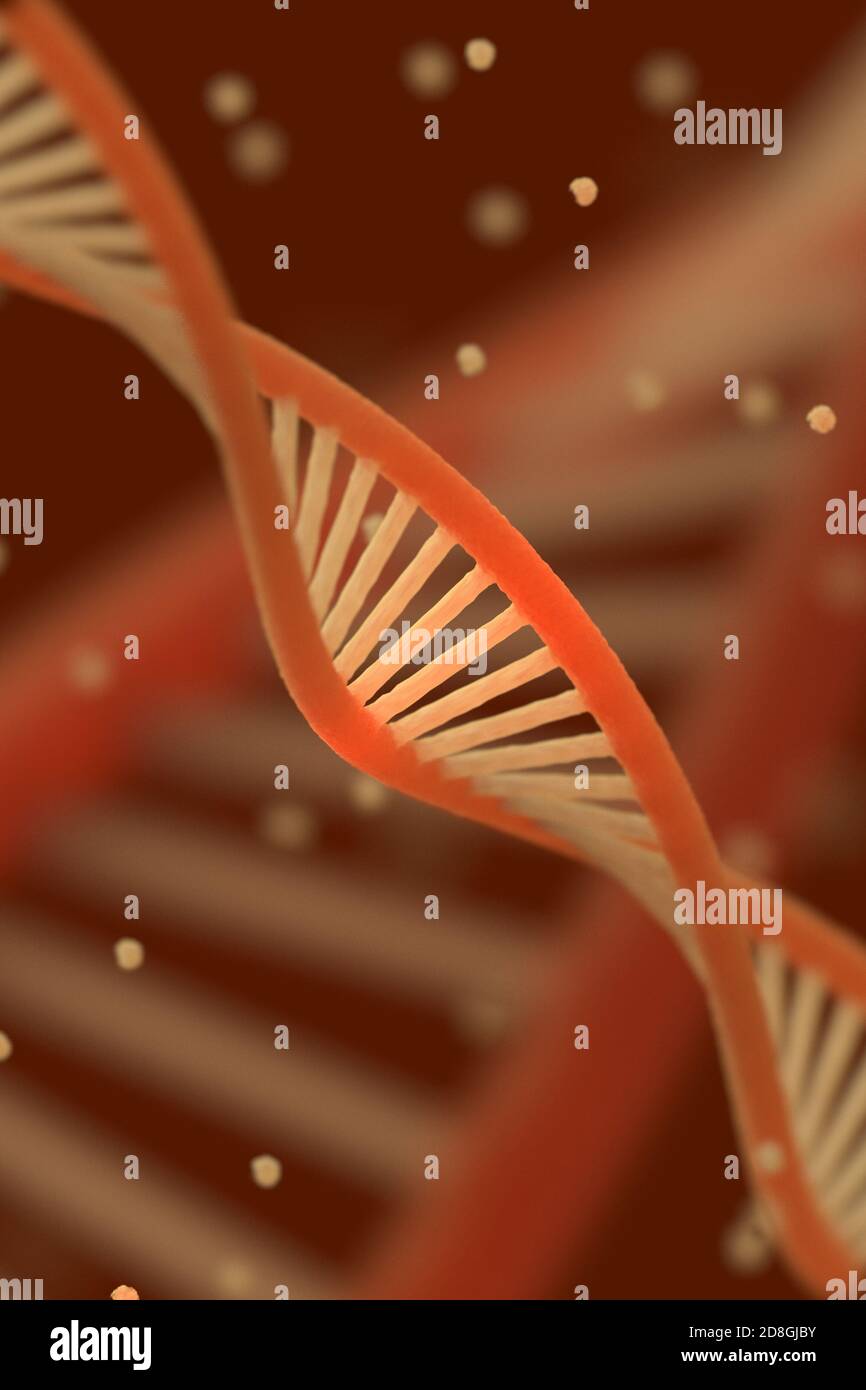 DNA chain macroshot Stock Photo - Alamy