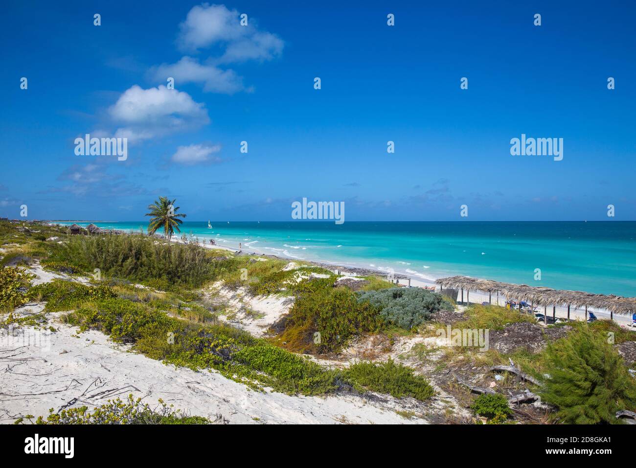 Cuba, Villa Clara Province, Jardines del Rey archipelago, Cayo Santa ...
