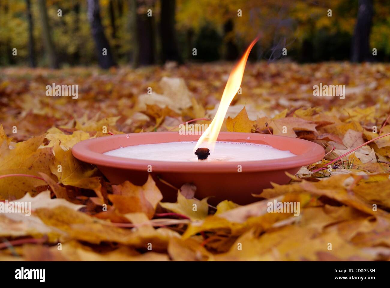 Bright sparkling fire slow motion hi-res stock photography and images ...