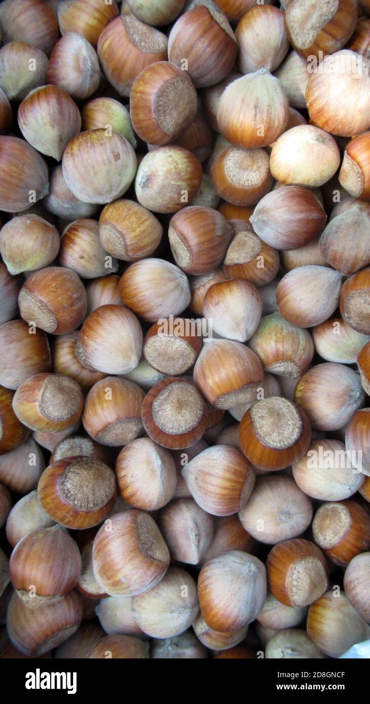 Close up of a hazelnuts. Food background, photo wallpaper Stock Photo ...