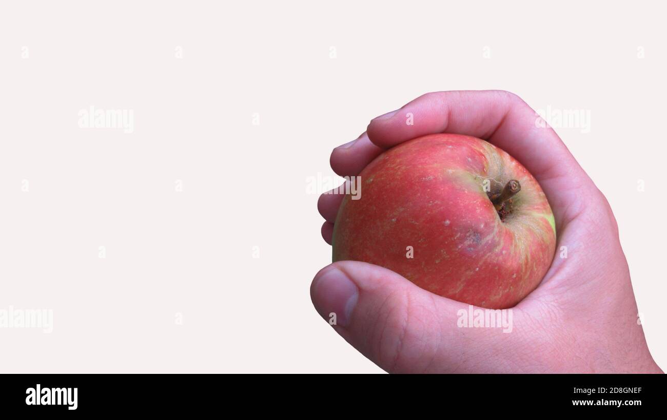 A close up of a male hand holding red apple Stock Photo - Alamy