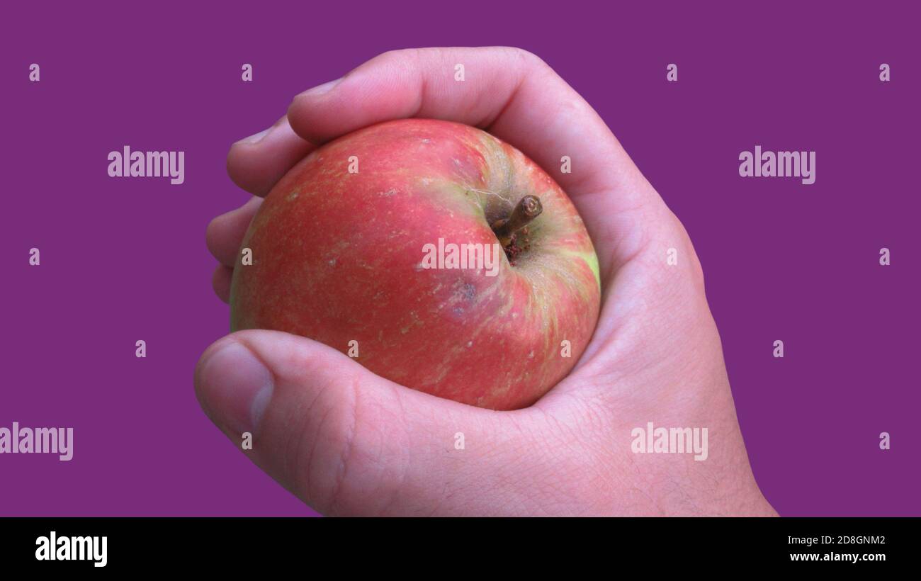 A close up of a male hand holding red apple Stock Photo - Alamy