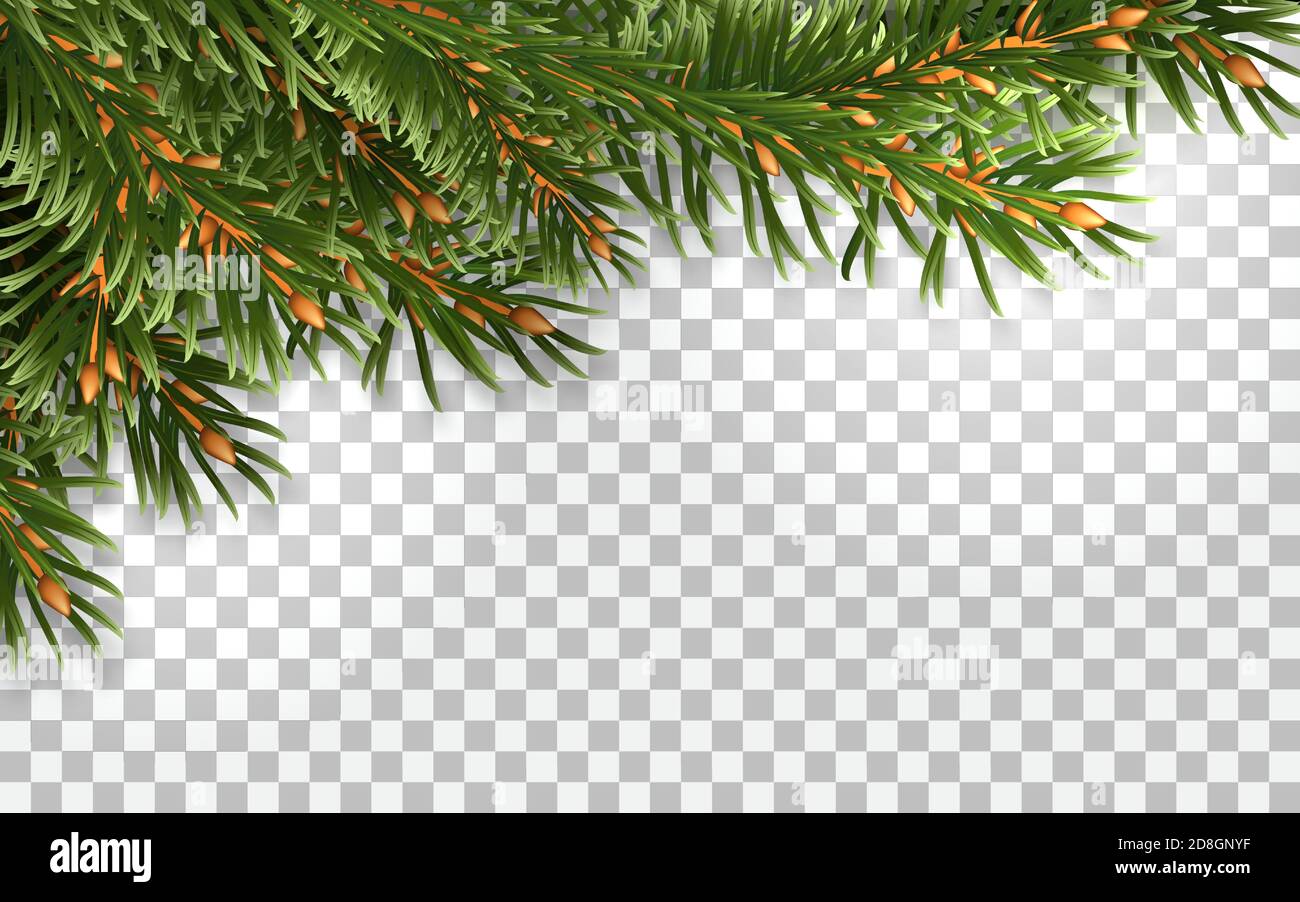 Frame christmas decor fir Stock Vector Images - Alamy