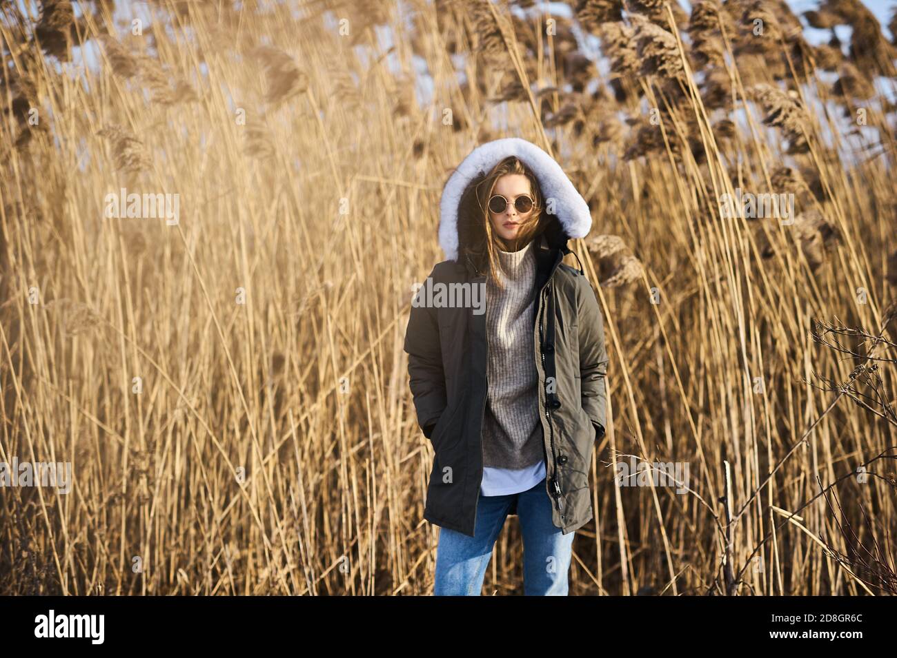 Reed background hi-res stock photography and images - Alamy