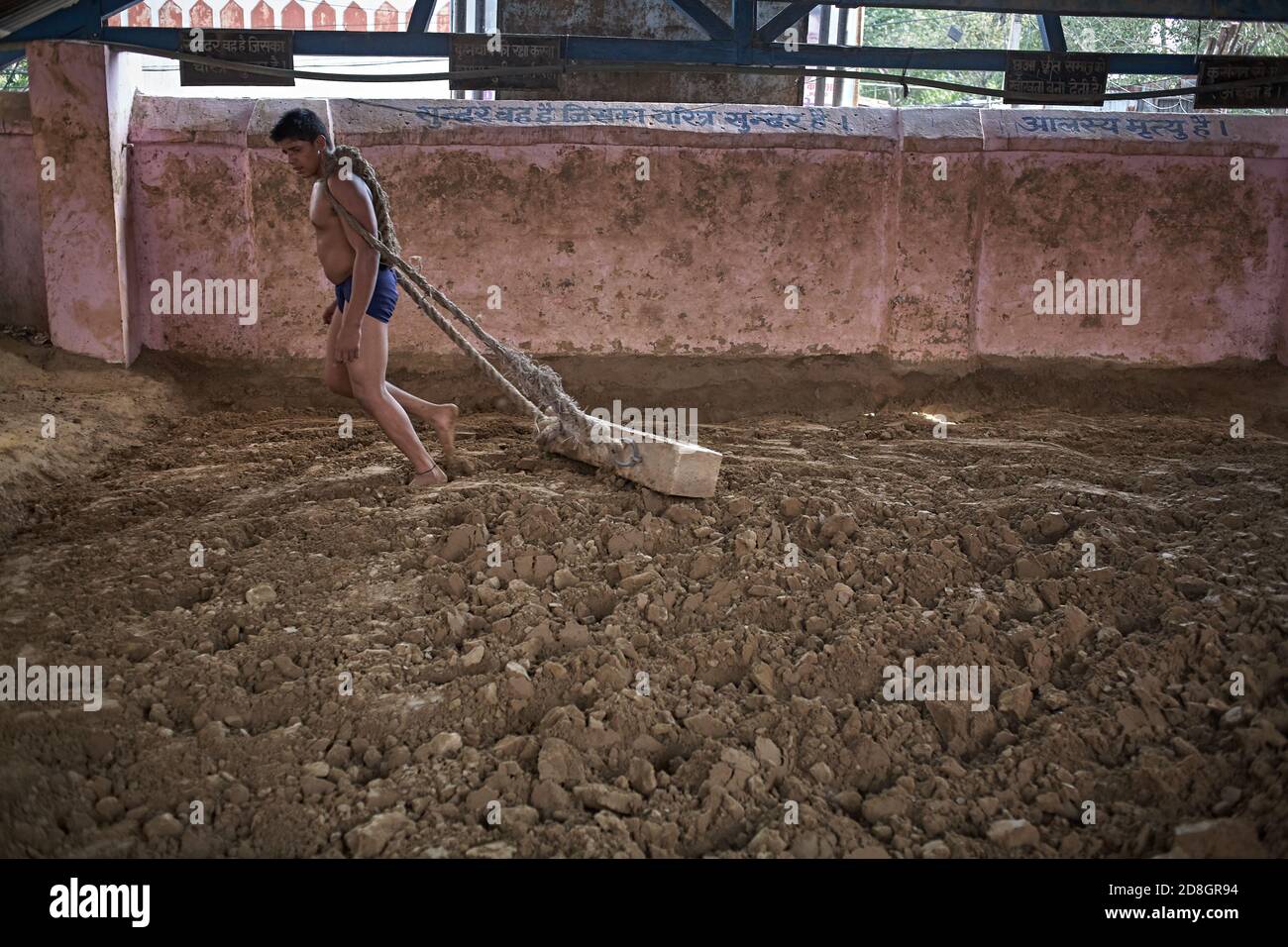 Delhi, India, May 2012. Kushti fighters preparing the akhara arena for ...