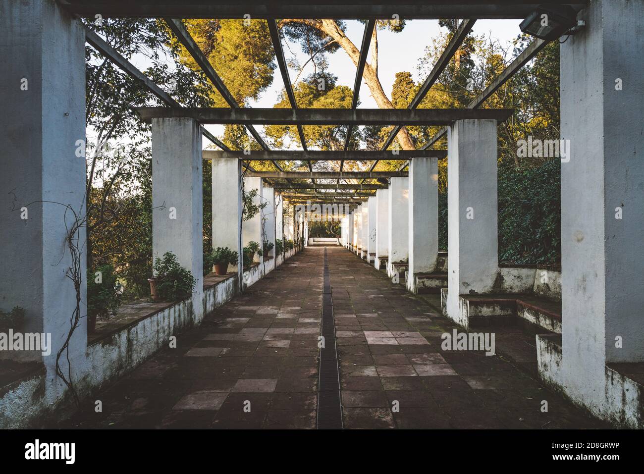 Symmetrical view of the passageway of a romantic style garden covered ...