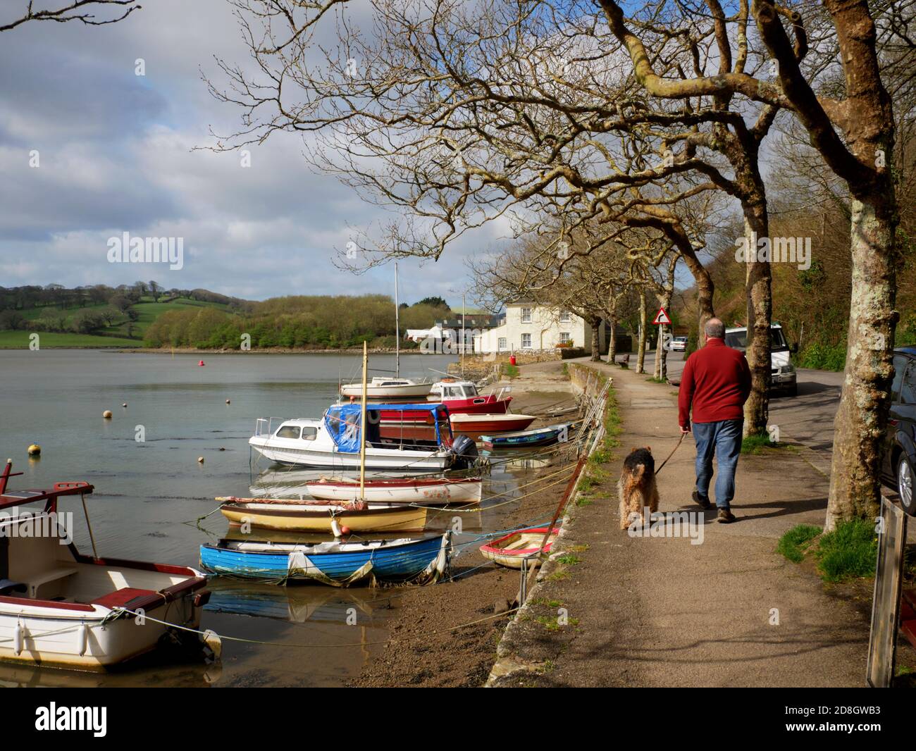 Walking the dog beside the Truro River at Sunny Corner near Malpas ...